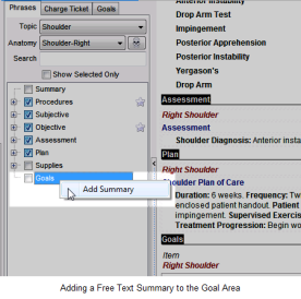 Clinicient | Add a Summary Statement in Chart Notes