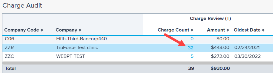 WebPT Billing | Charge Review (T)