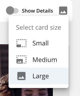 Understanding Gallery View