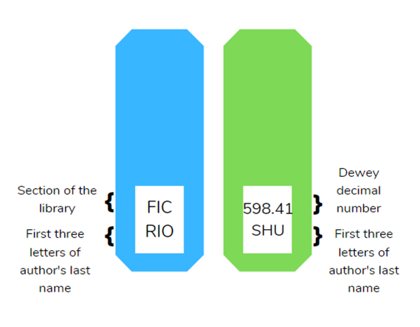 DDC And Spine Labels